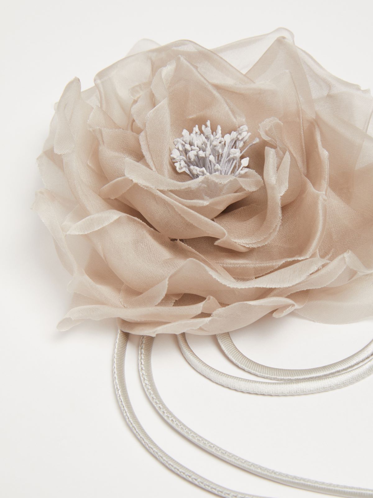 Spille donna | Max Mara